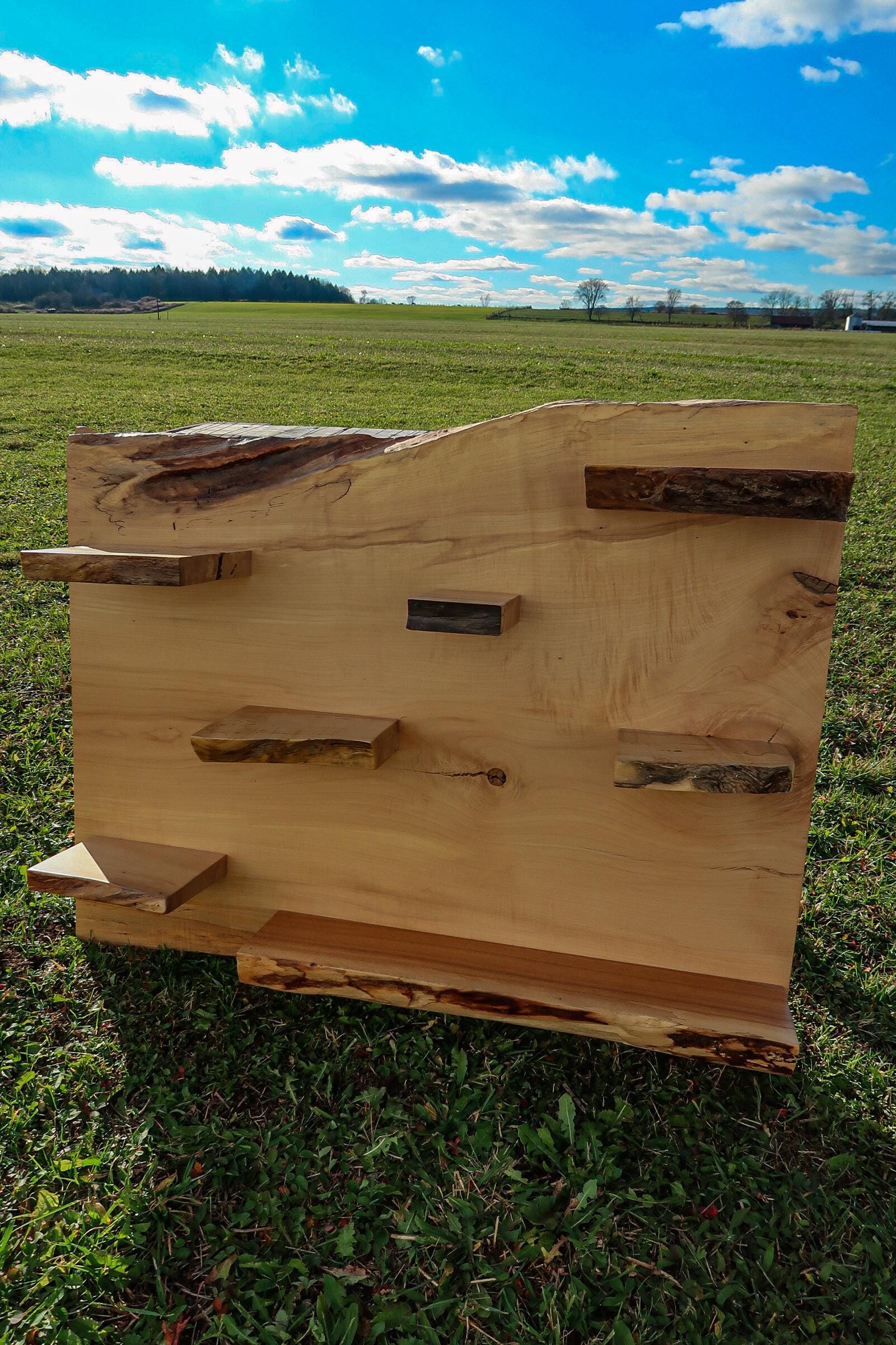 Spalted Maple Picture Shelf Rustic Wall Display Shelf - Etsy