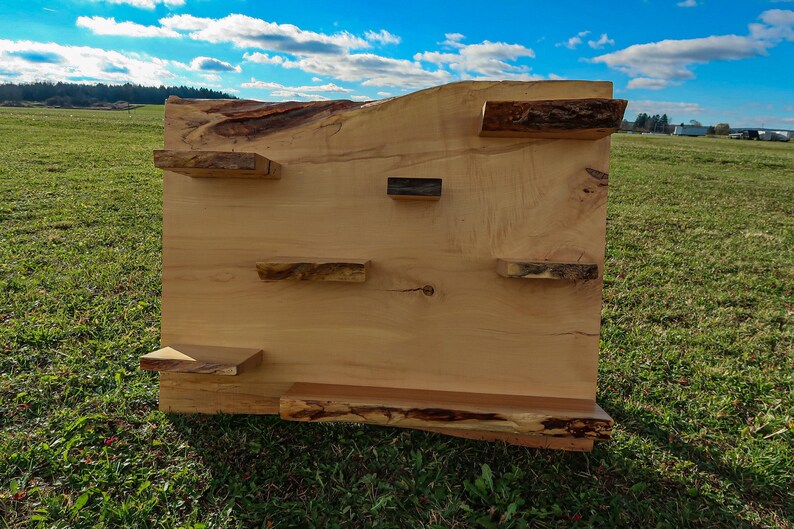 Spalted Maple Picture Shelf Rustic Wall Display Shelf - Etsy