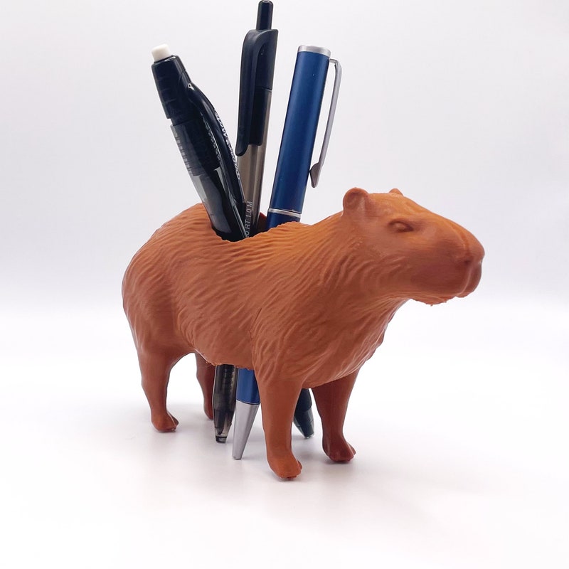Capybara School Supplies - Etsy