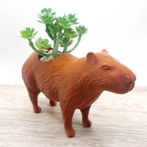 Capybara Succulent Planter - Capybara Gift, Capybara Decor, Desk Decor ...