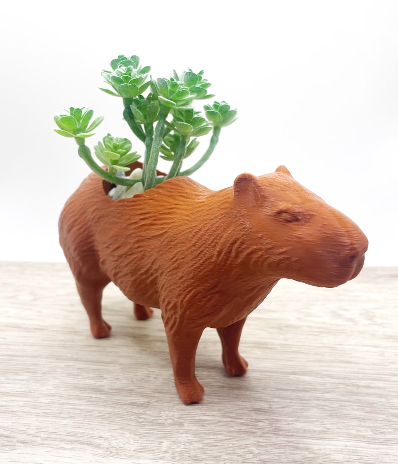 Capybara Succulent Planter Capybara Gift Capybara Decor - Etsy