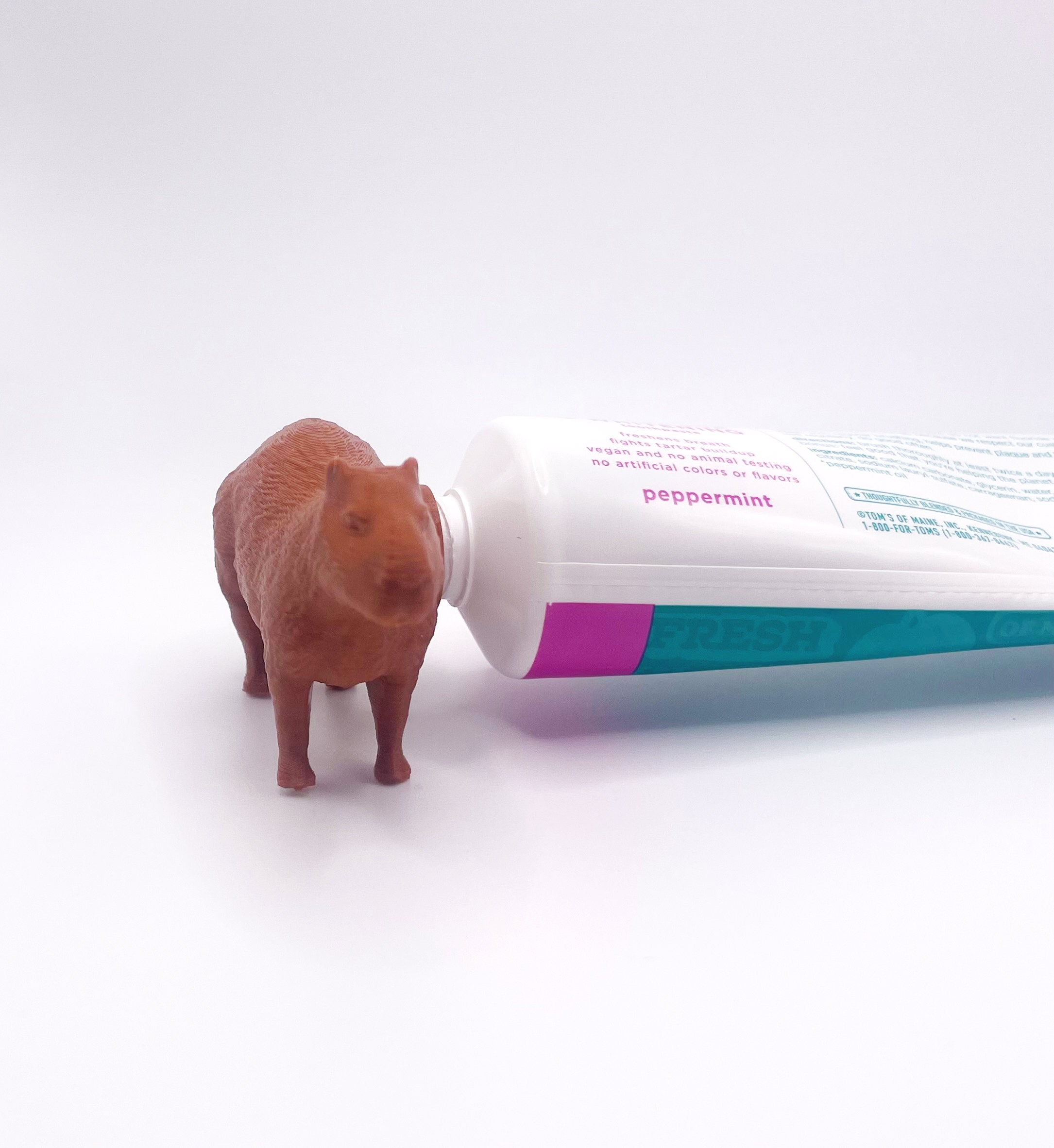 Capypooper Capybara Toothpaste Topper Capybara Toothpaste Cap ...