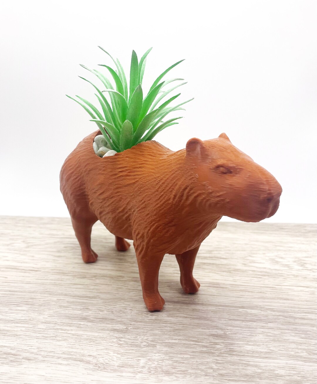 Capybara Succulent Planter - Capybara Gift, Capybara Decor, Desk Decor ...