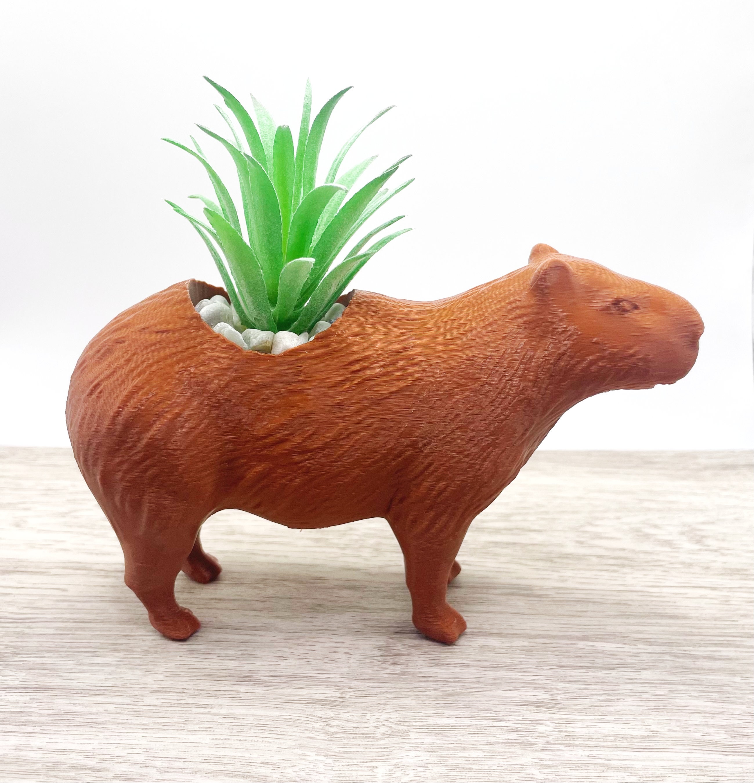 Capybara Succulent Planter Capybara Gift Capybara Decor - Etsy