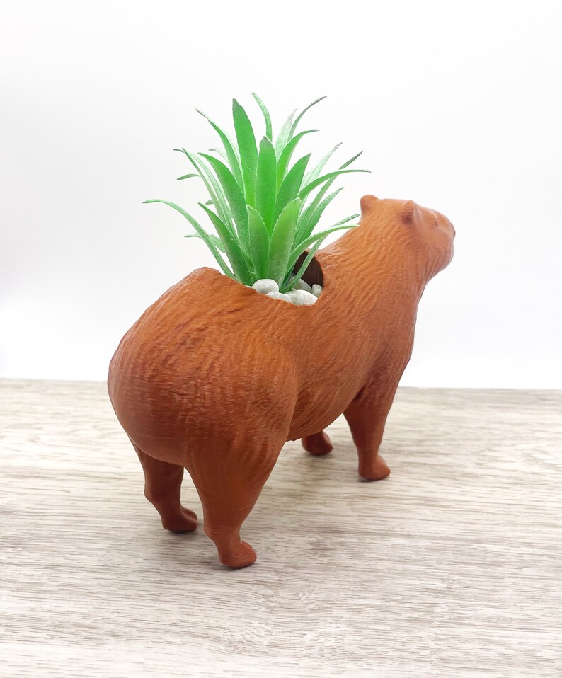 Capybara Succulent Planter Capybara Gift Capybara Decor - Etsy