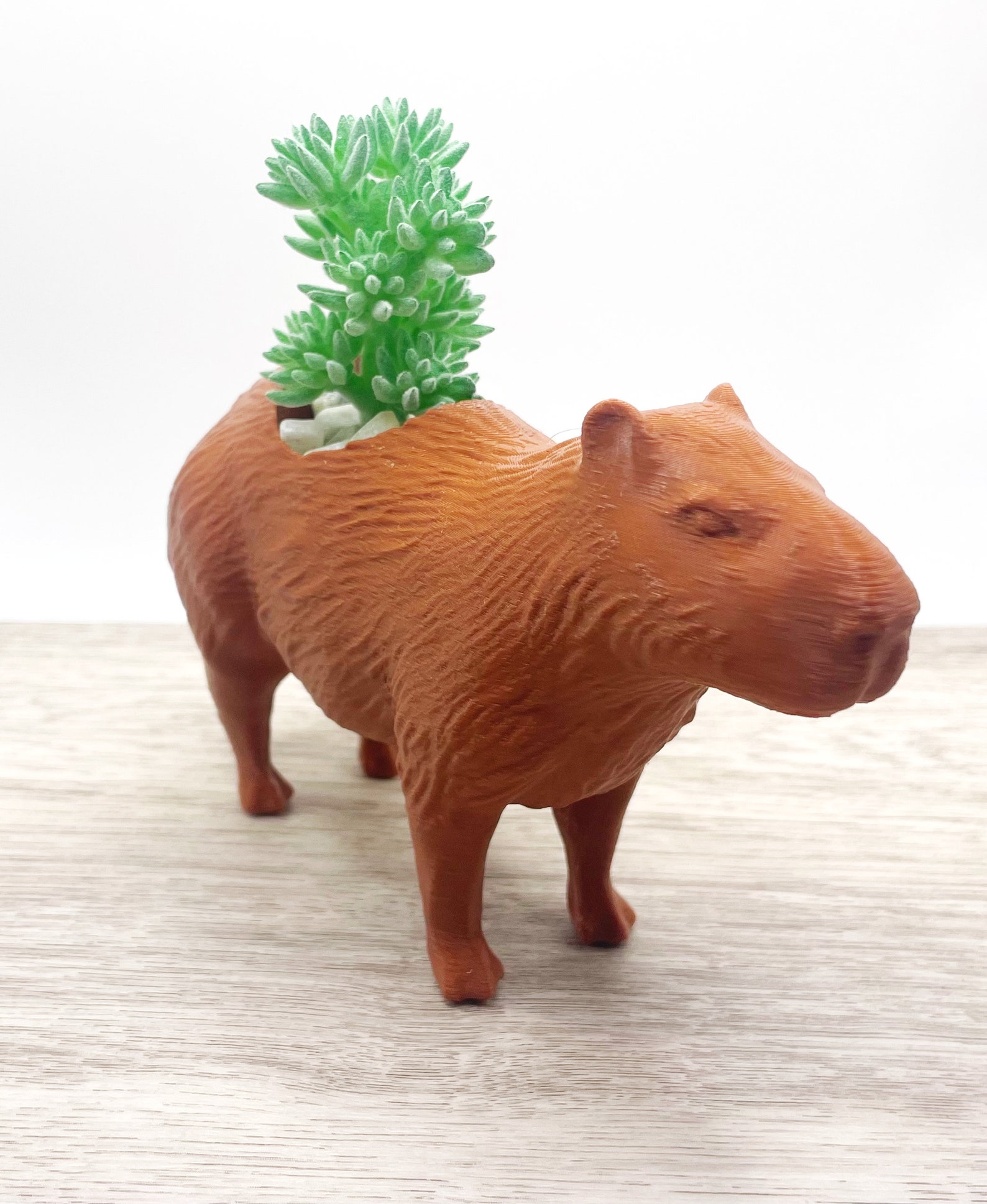 Capybara Succulent Planter Capybara Gift Capybara Decor - Etsy