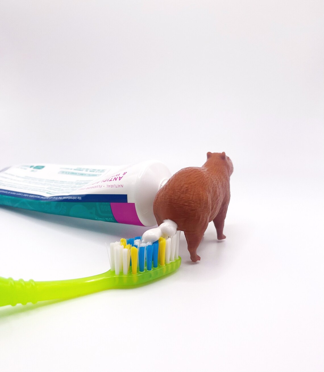 Capypooper Capybara Toothpaste Topper Capybara Toothpaste Cap ...