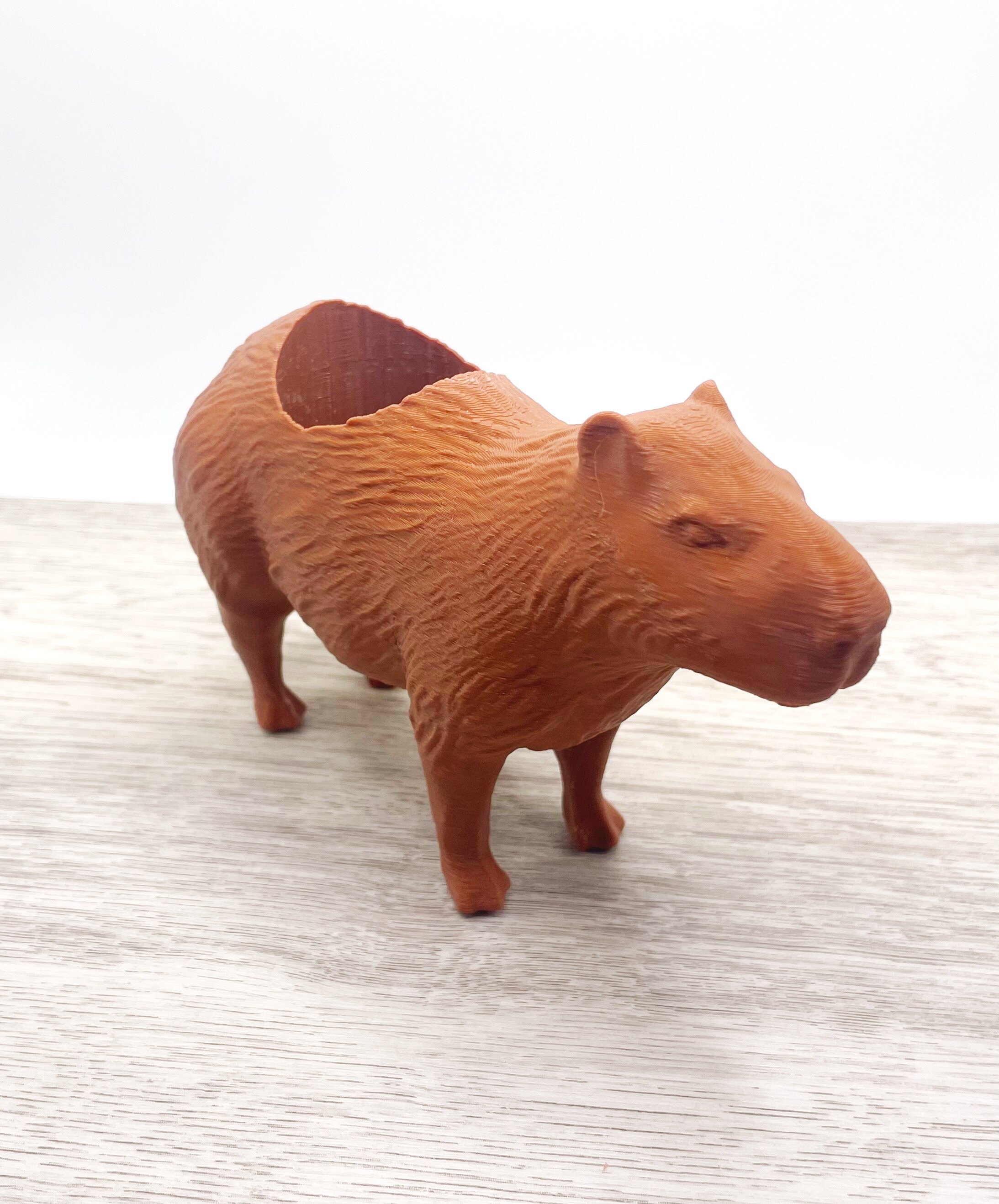 Capybara Succulent Planter Capybara Gift Capybara Decor - Etsy