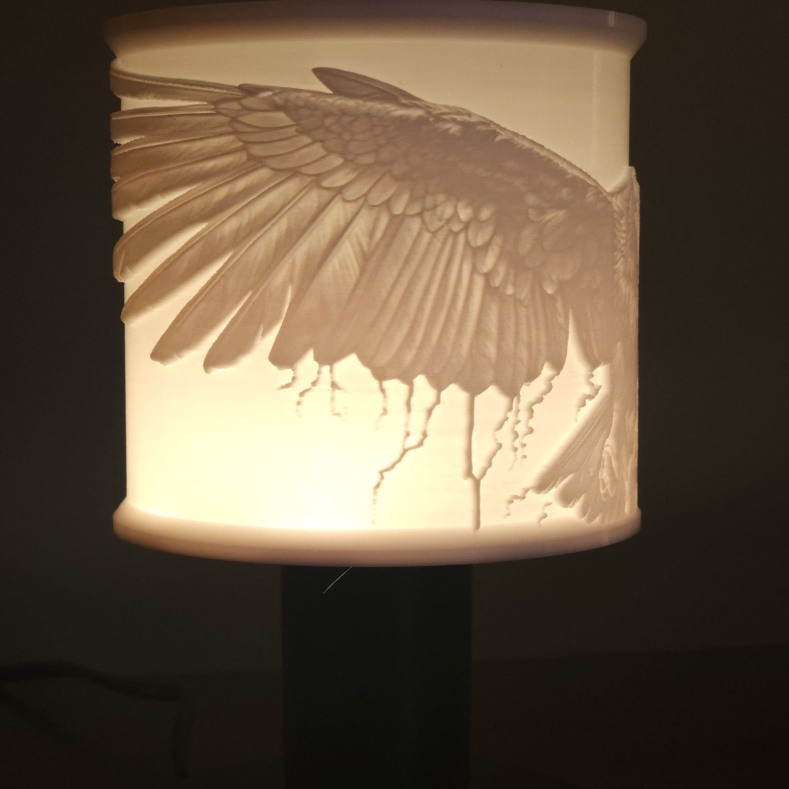 3D Printed Raven Lithophane Accent Lamp - Etsy