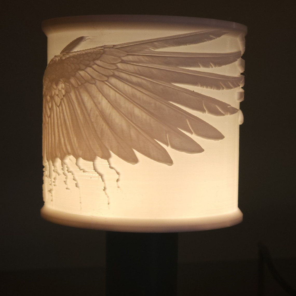3D Printed Raven Lithophane Accent Lamp - Etsy