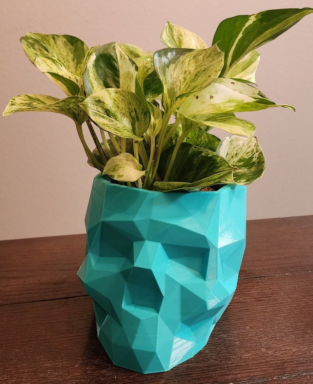3d Printed Low Poly Skull Planter - Etsy