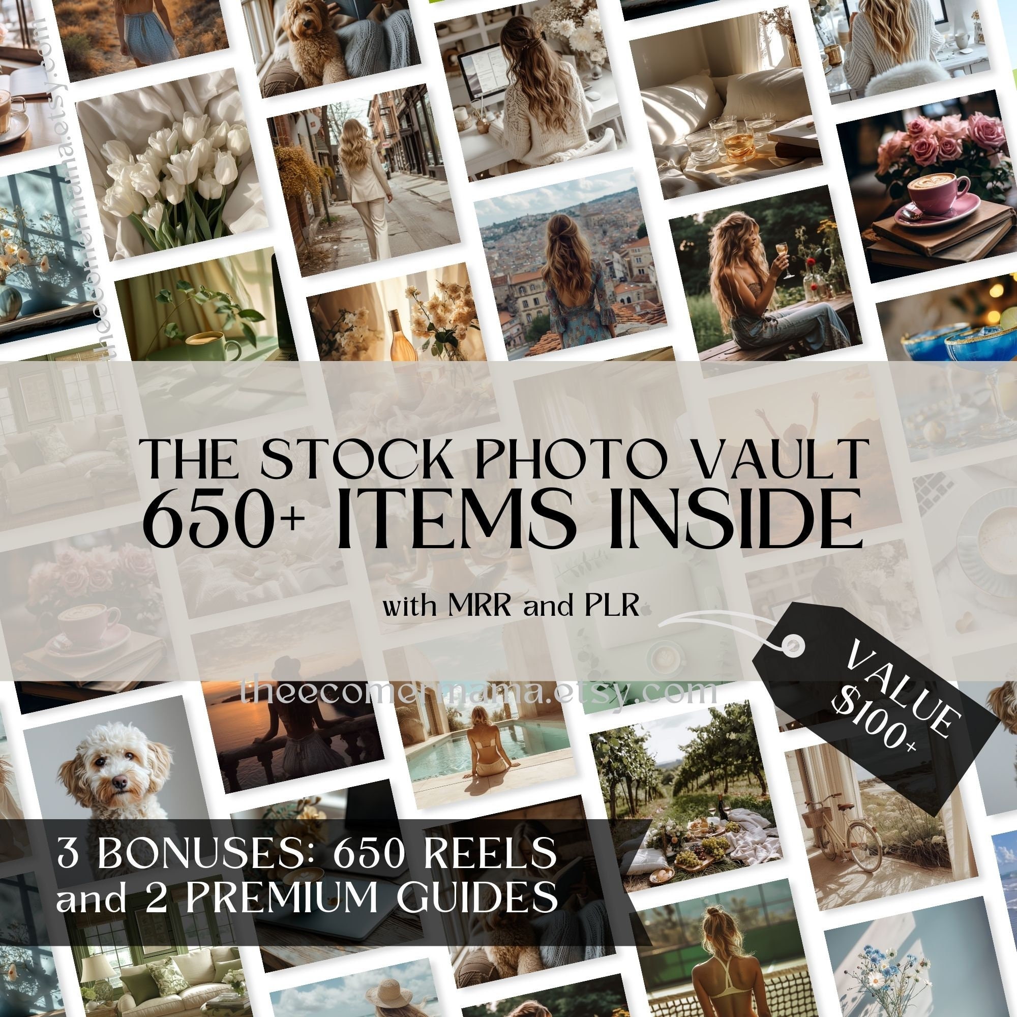 The Assorted Stock Photo Vault With 3 BONUSES With Master Resell Rights ...