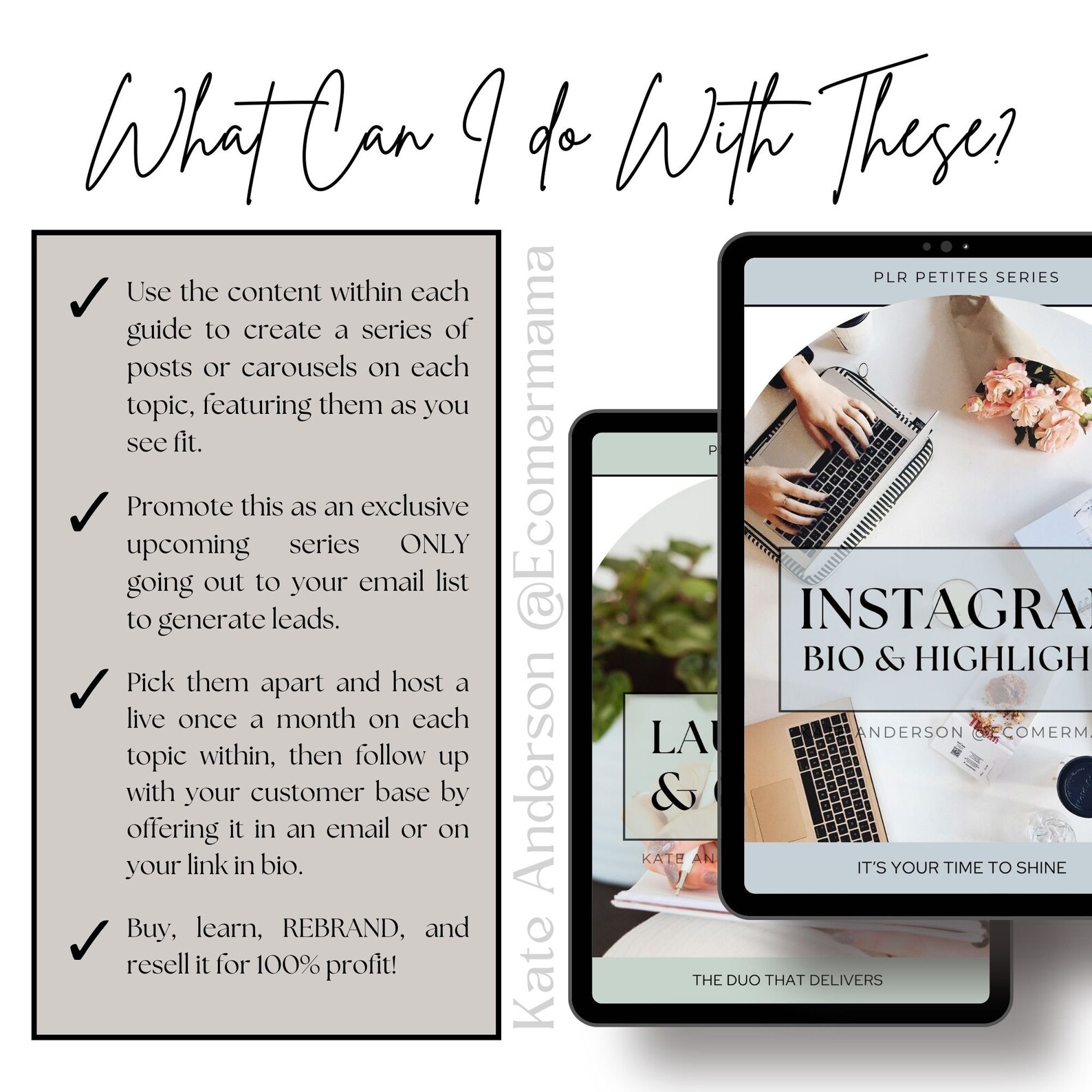 The PLR Petite Series Bundle With Master Resell Right MRR and Private ...
