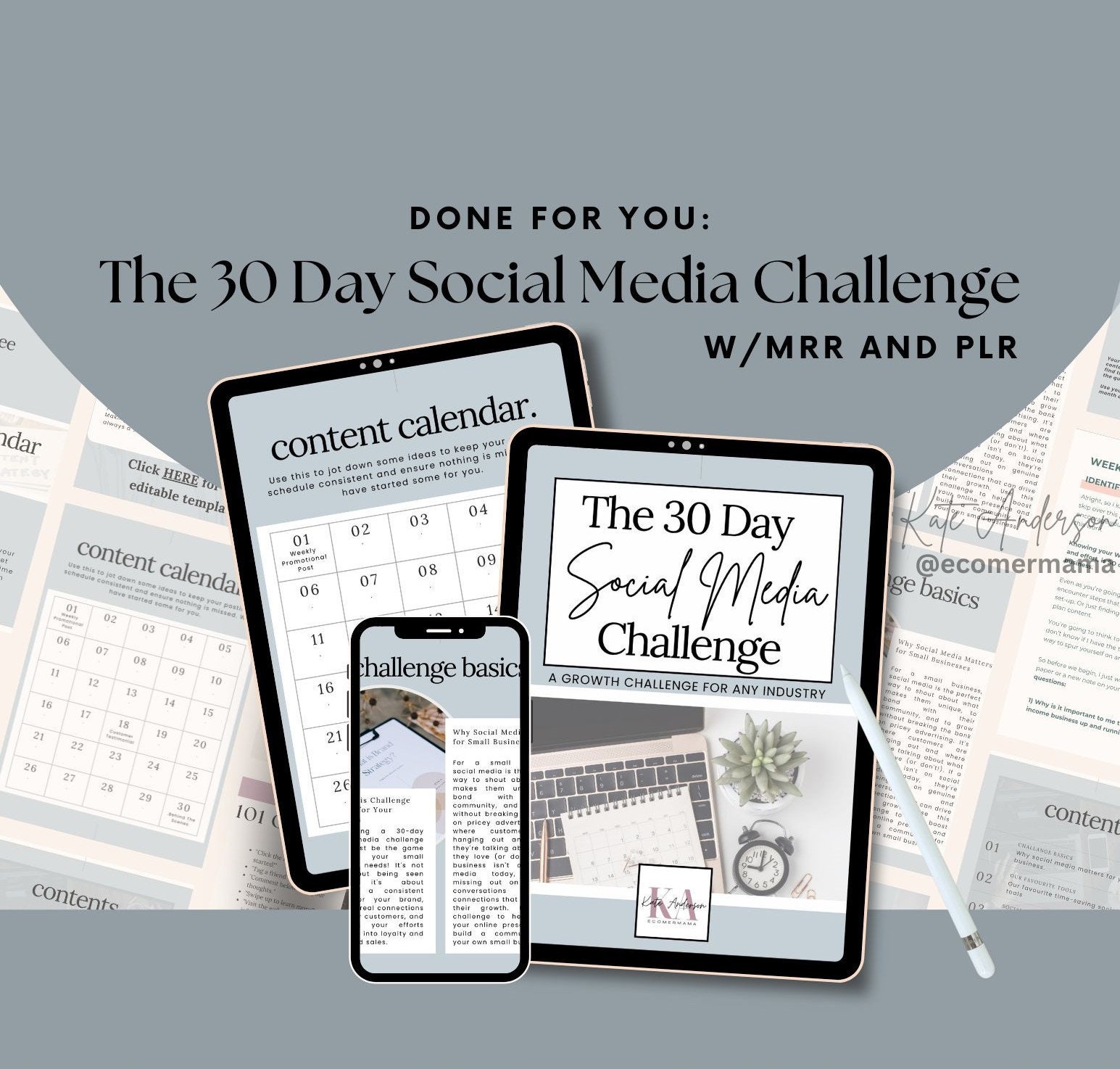 Digital Marketing Guide/ebook ULTIMATE LIBRARY 1.0 W/master Resell ...