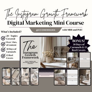 Instagram Growth Blueprint Mini Course W/master Resell Rights (MRR) and ...