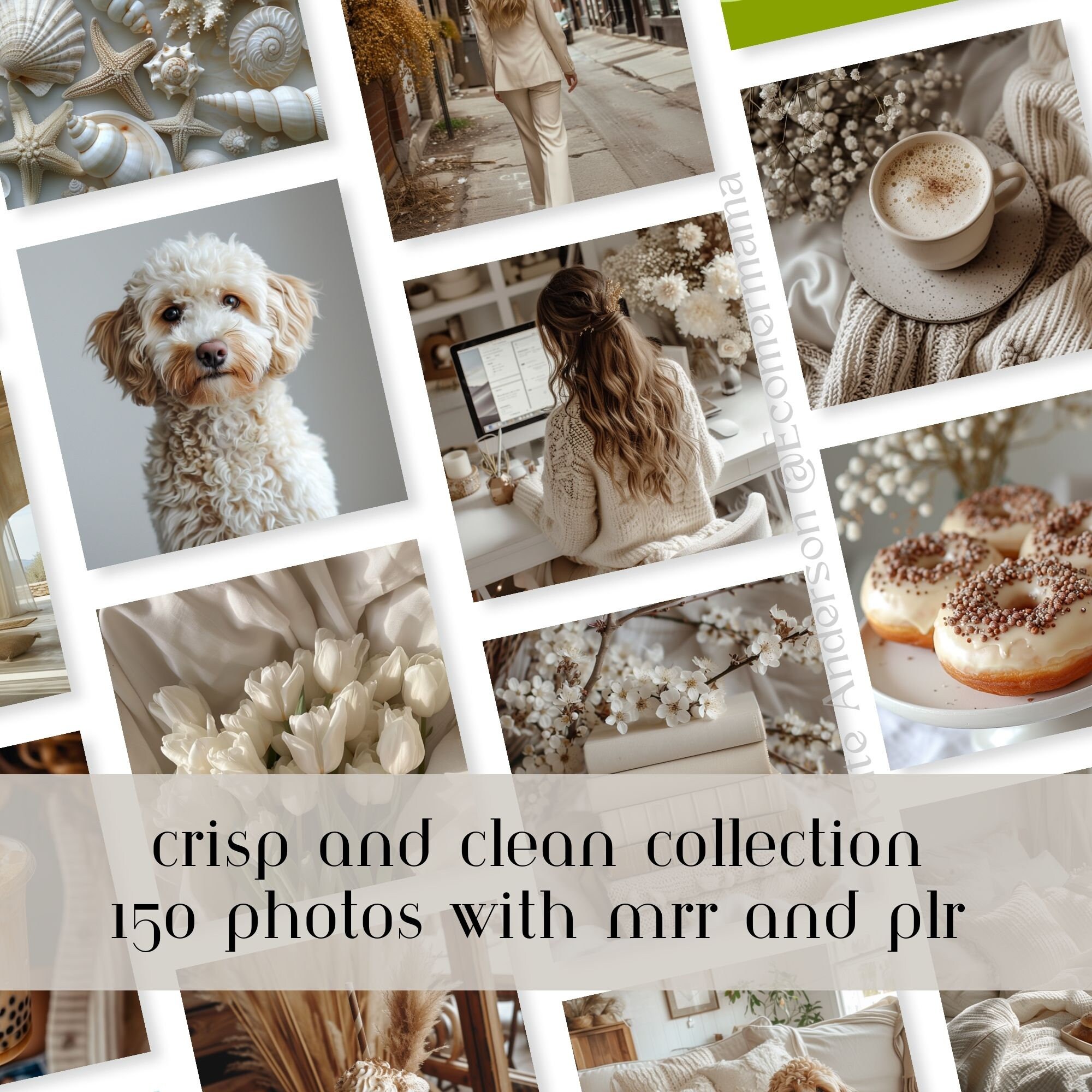 The Assorted Stock Photo Vault With 3 BONUSES With Master Resell Rights ...