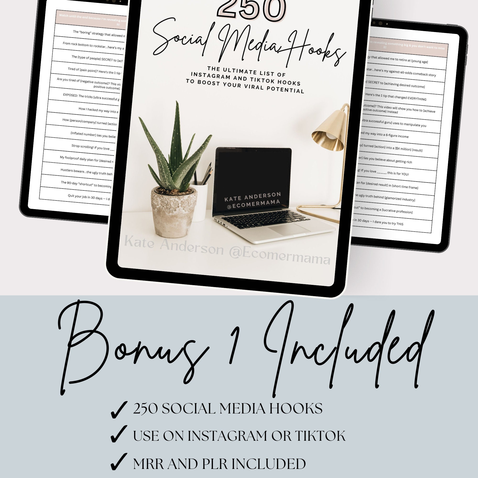 The Ultimate Social Media Marketing Blueprint With Master Resell Rights ...