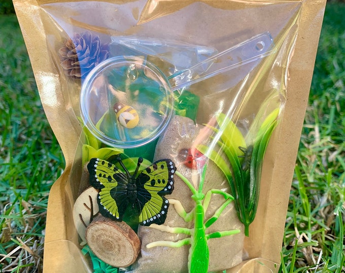 Bug Party Favor Bags Bug Playdough Kit Nature Sensory Kit Bug Sensory Kit - Etsy