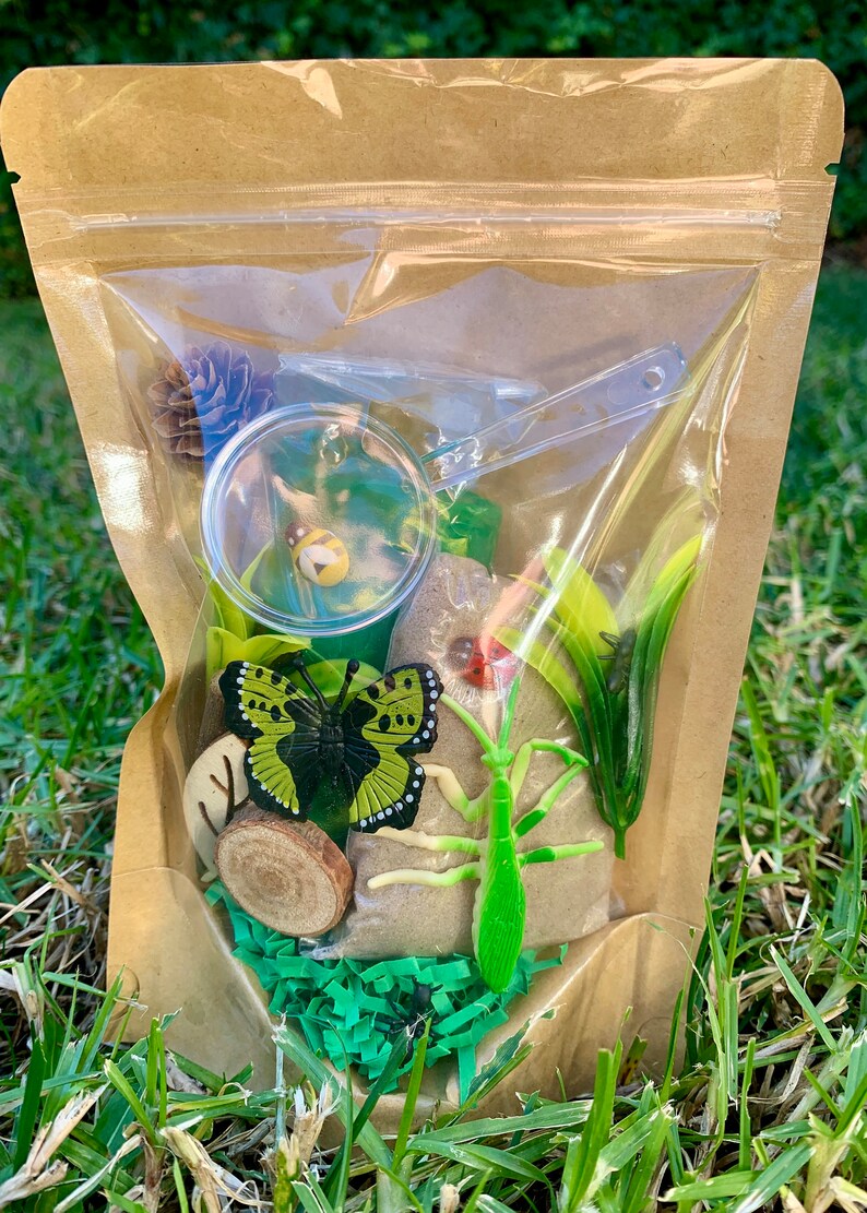 Bug Party Favor Bags Bug Playdough Kit Nature Sensory Kit Bug Sensory ...