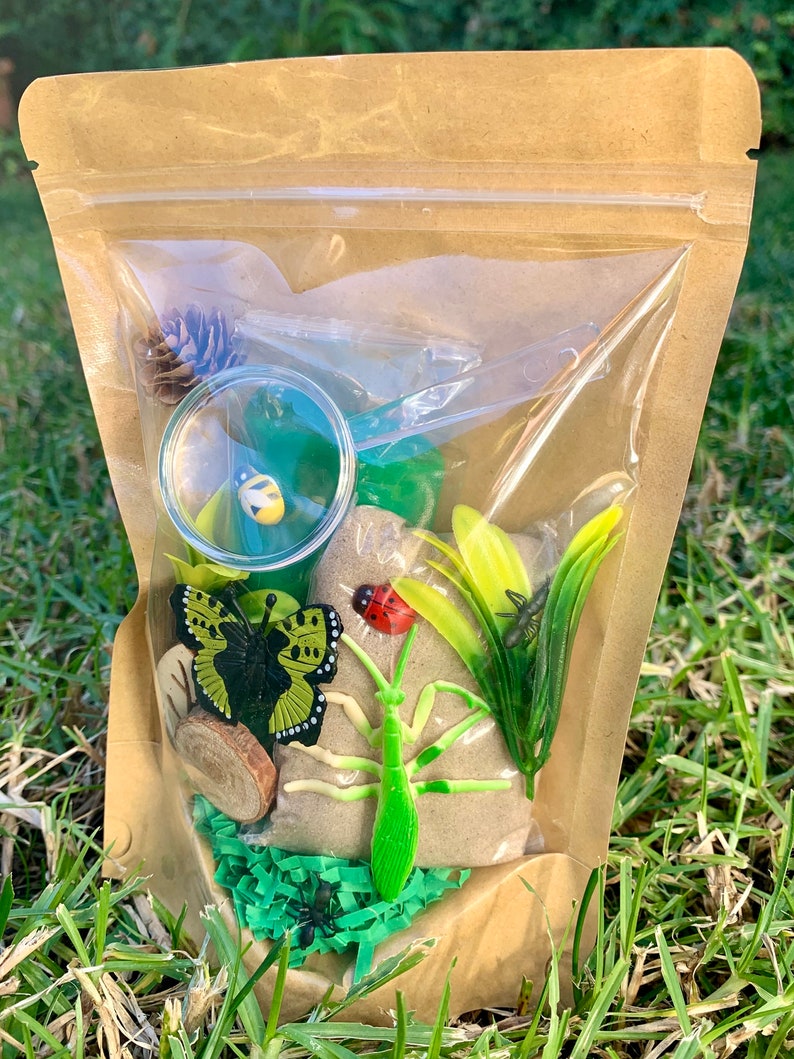 Bug Party Favor Bags Bug Playdough Kit Nature Sensory Kit Bug Sensory ...