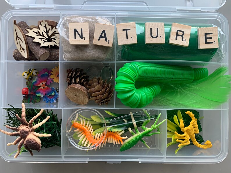 Bug Play Dough Kit Insect Sensory Kit Sensory Toy Personalized Gift for ...