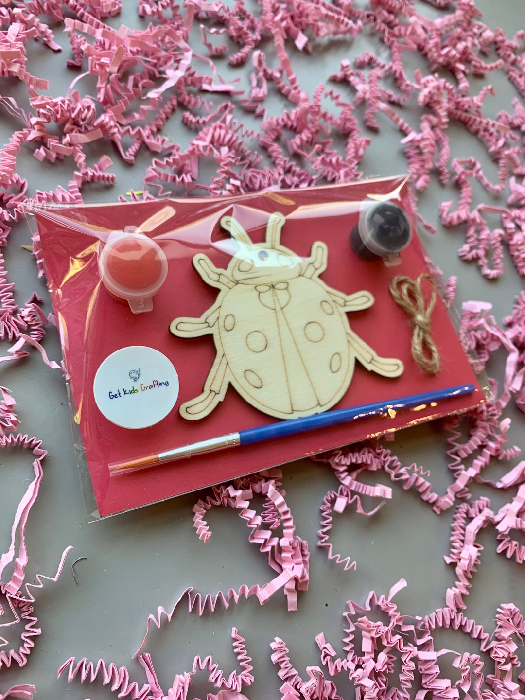 Lady Bug Party Favors, Ladybug Ornament Kit, Love Bug Paint Kit - Etsy