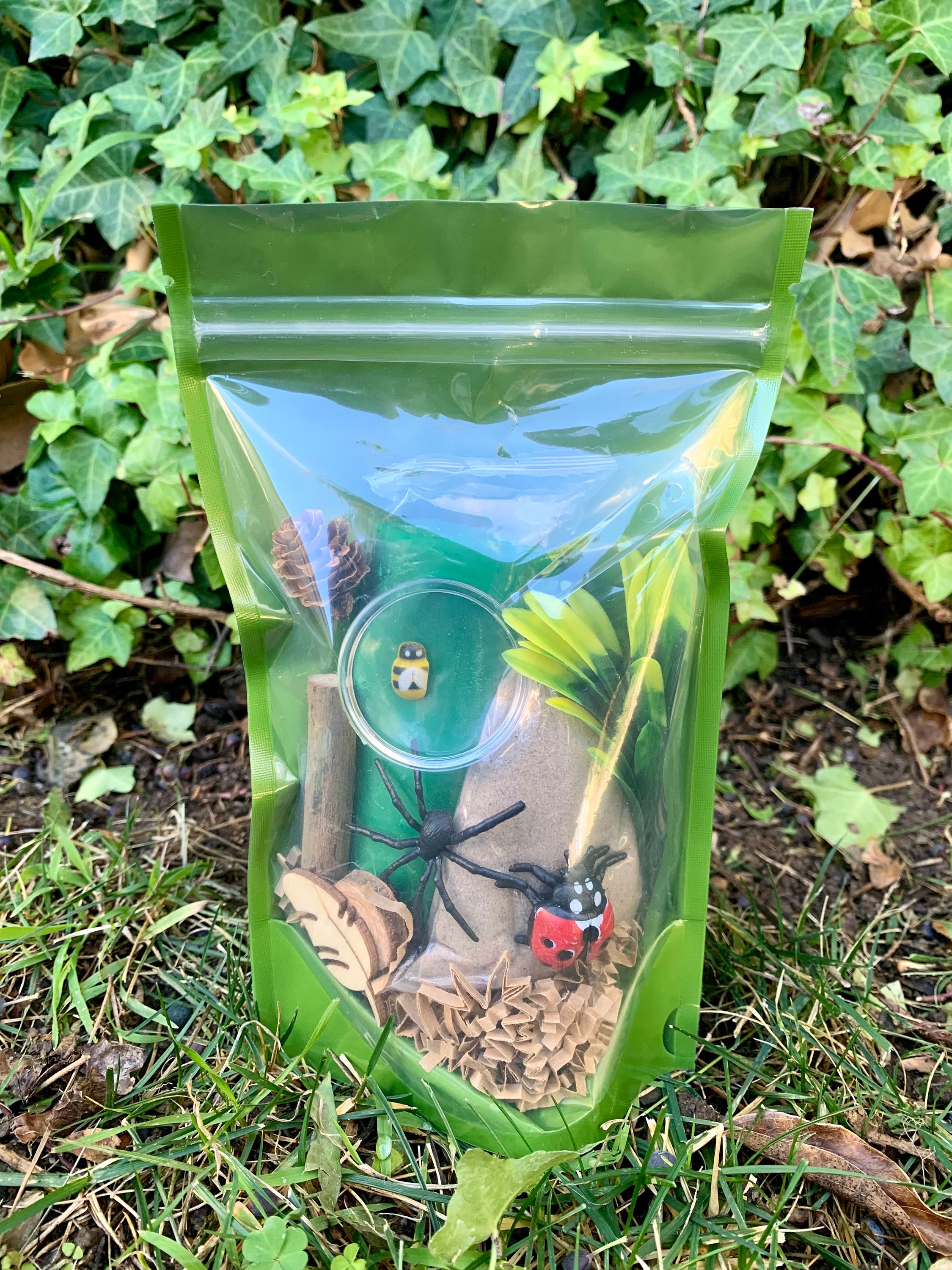 Bug Party Favor Bag Bug Sensory Kit Bug Party Favors Bug Party Goodie ...