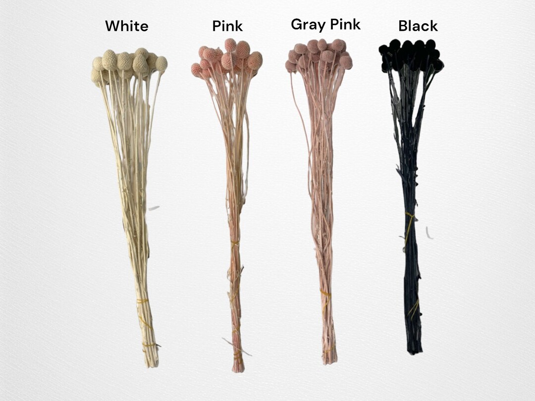 Preserved Billy Ball,billy Golden Ball Bouquet Gifts for Her ...