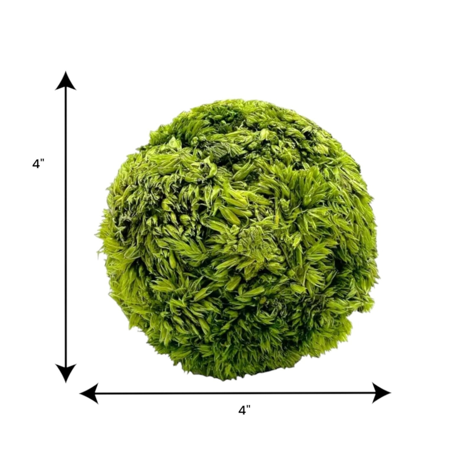 Preserved Topiary Balls Set: 4-inch Vase Filler, Centerpiece Accent - Etsy