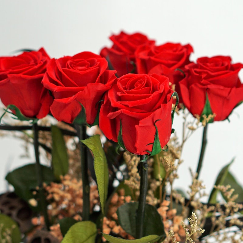 Preserved Red Rose Decor - Etsy