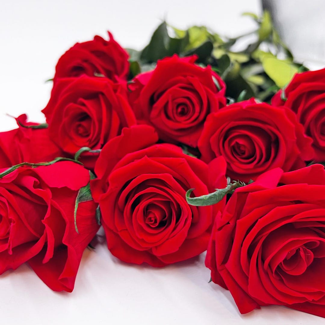 Luxury Premium Preserved Real Red Roses – Pack of 10 Long-stem Roses - Etsy