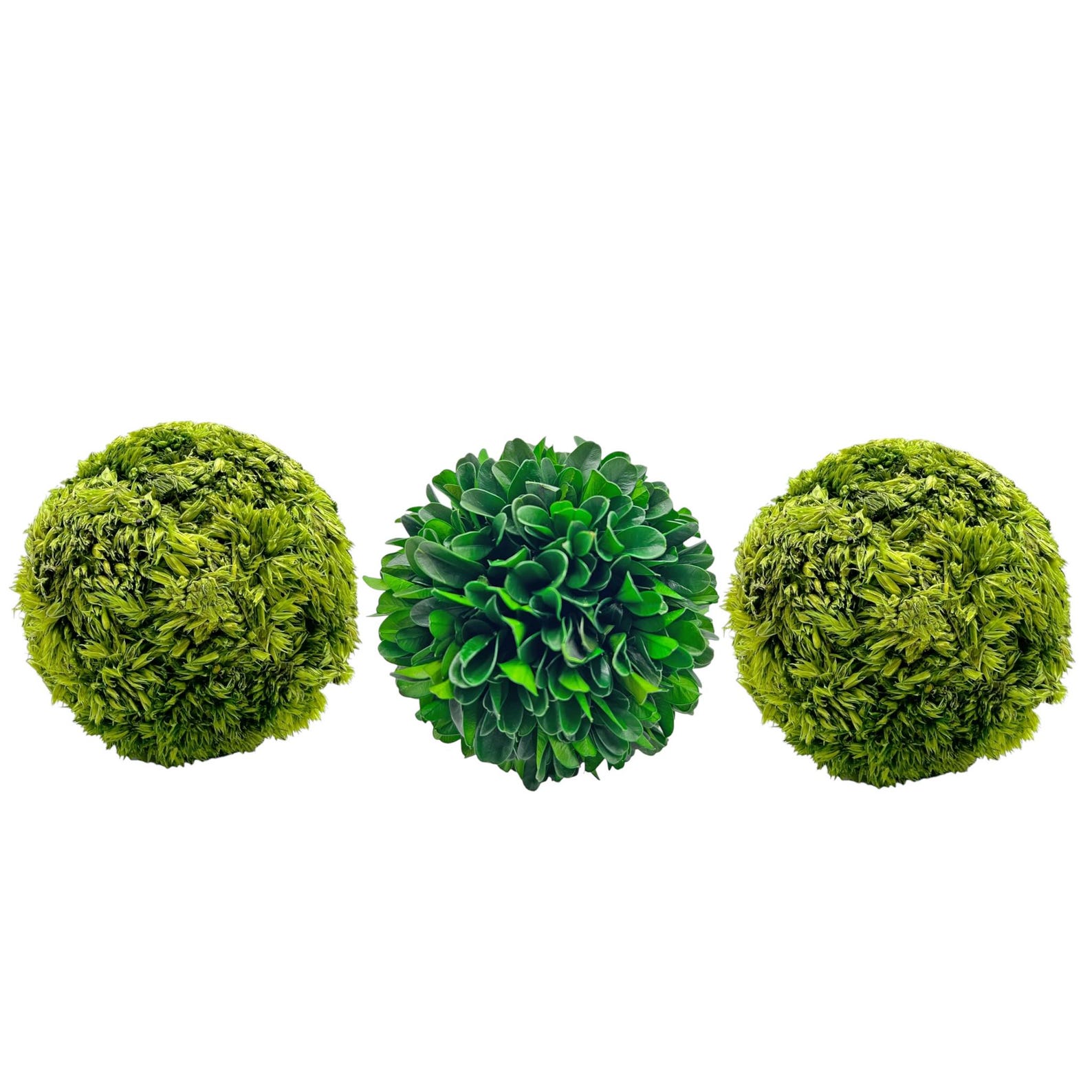 Preserved Topiary Balls Set: 4-inch Vase Filler, Centerpiece Accent - Etsy