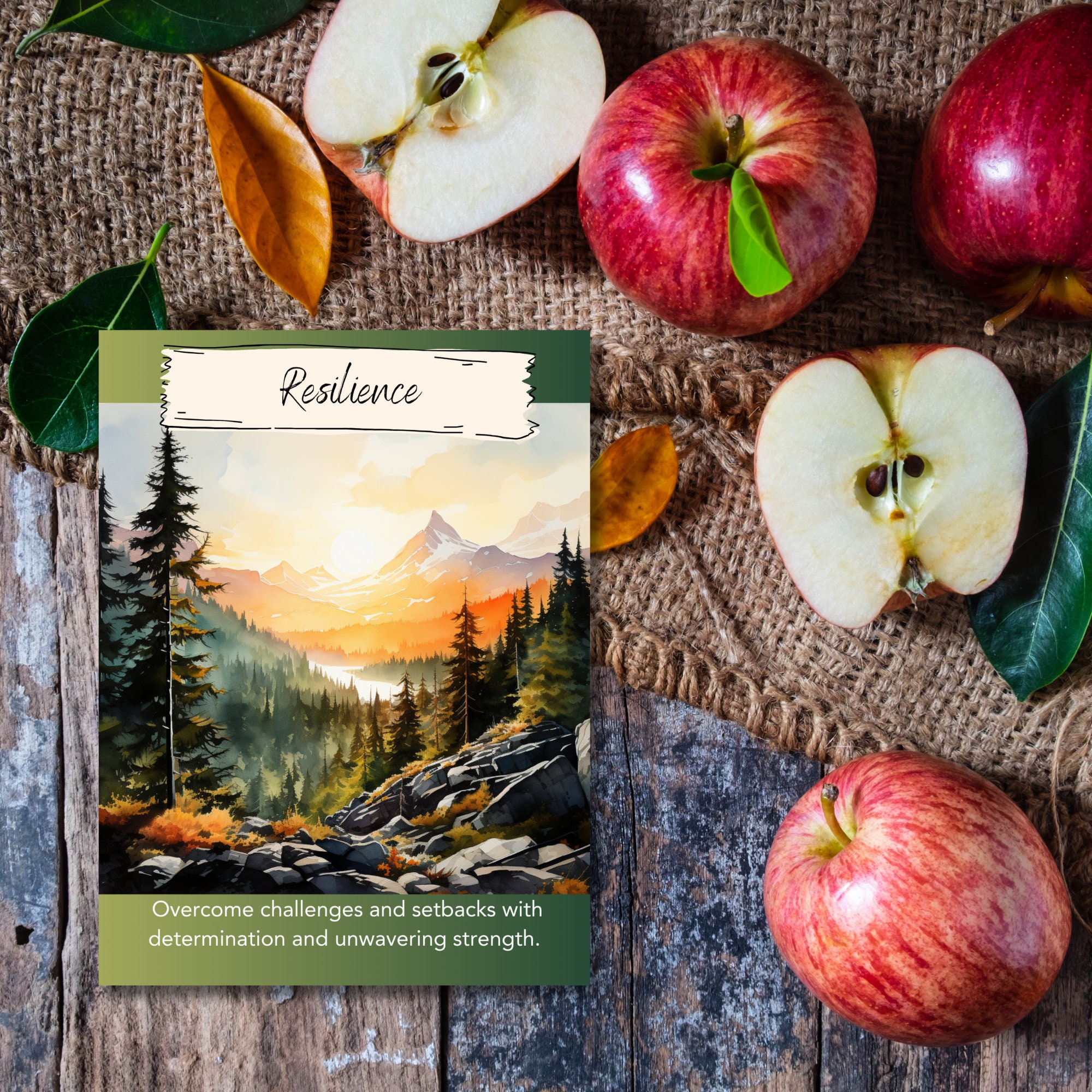 Adventure Oracle Cards Download, Tarot Deck With Guidebook, Travel ...