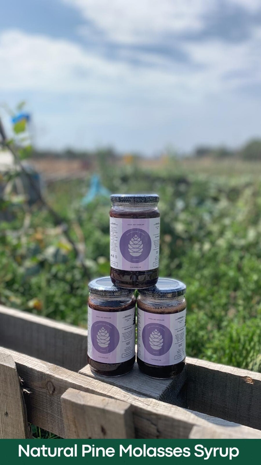 Natural Pine Molasses Syrup - Etsy