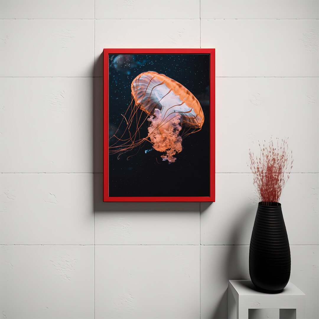 Jellyfish "300 Dpi" "digital" "wall Art" "decor" "decorate" "aquatic ...