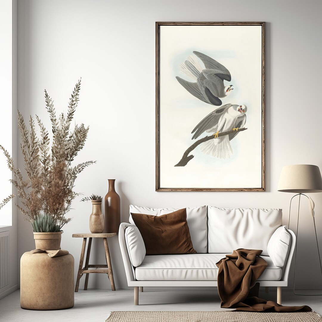 Hawk in Flight Wall Art: Contemporary Bird Decor (digital Download) - Etsy