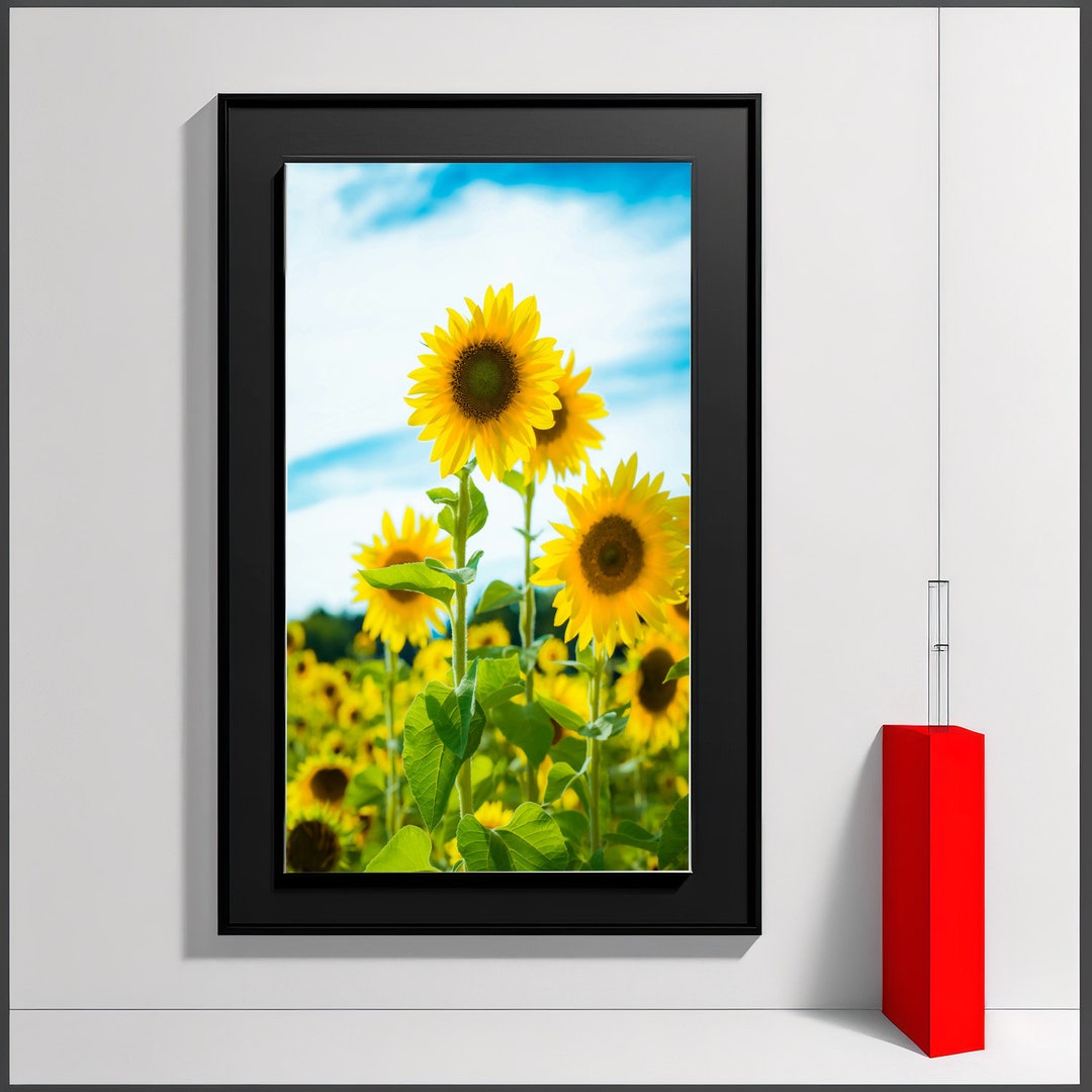 Sunflower "300 Dpi" "digital" "downloadable" "wall Art" "decor ...