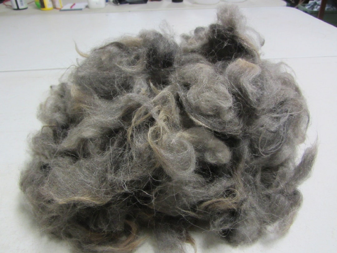 Llama Fiber Wool Fleece for Spinning, Stunning Gray 9 Oz kiziah - Etsy