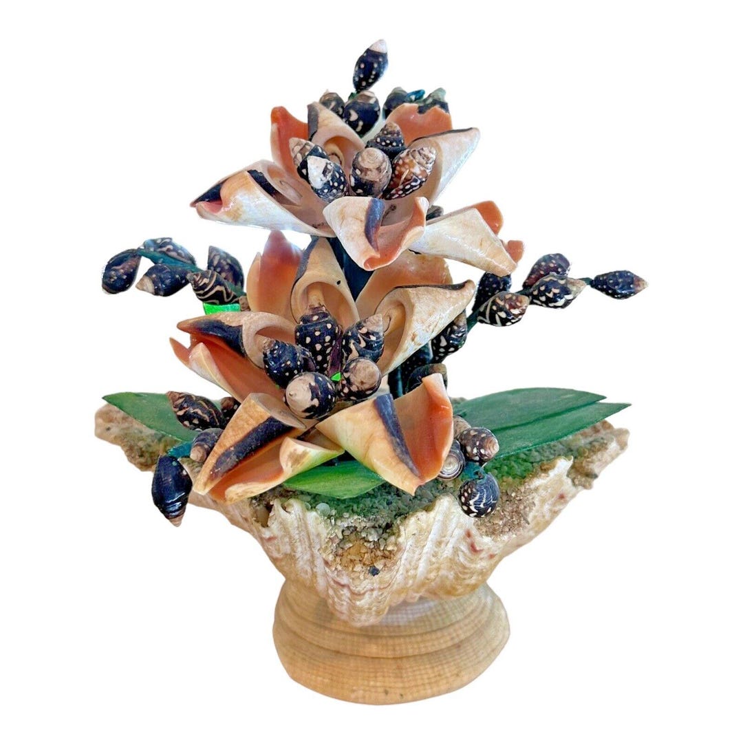 Seashell Flower Arrangement Conch Art Sea Beach Ocean 1960s MCM Decor ...