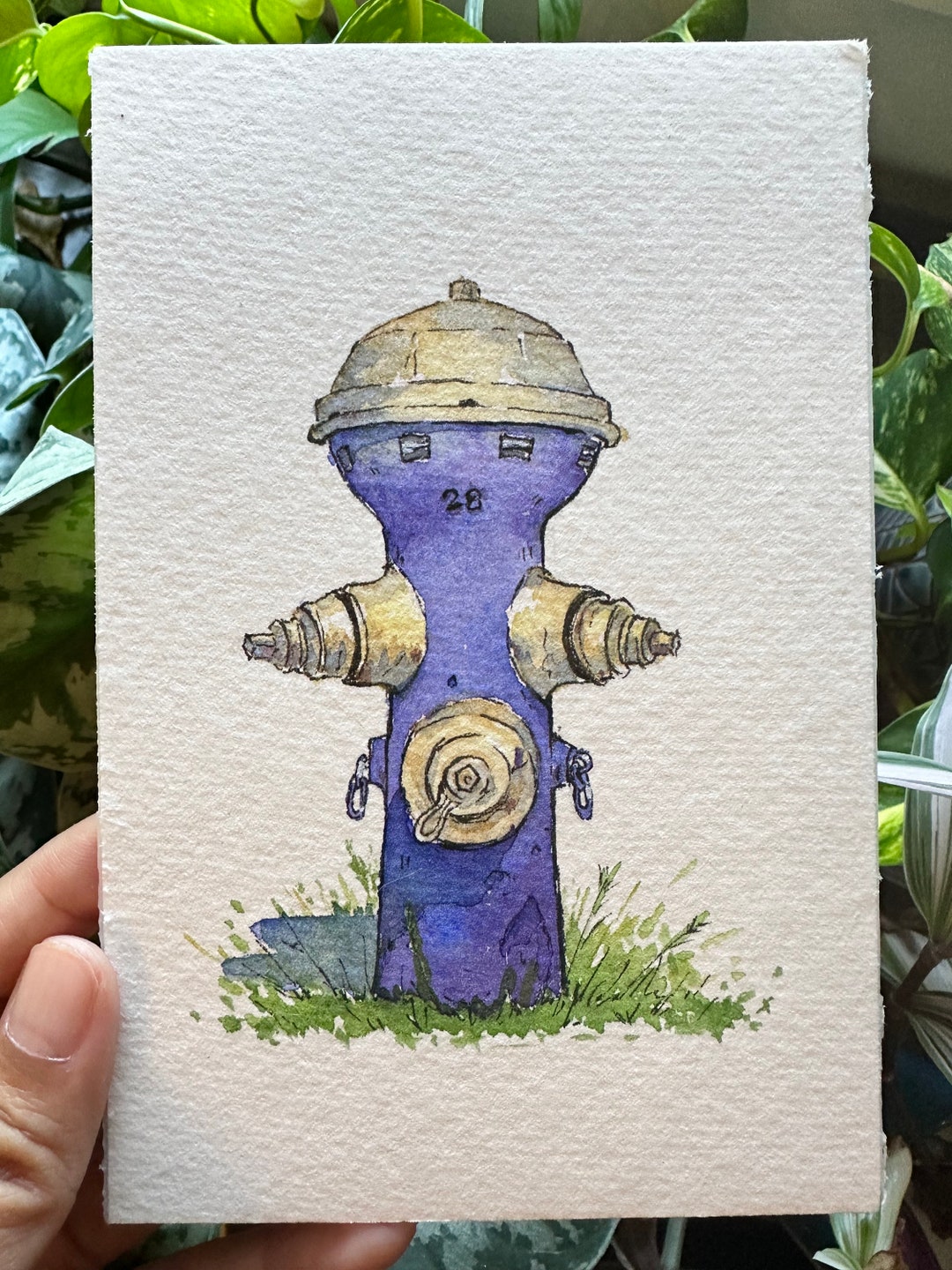 Original Ink and Watercolor Drawing fire Hydrants of the - Etsy