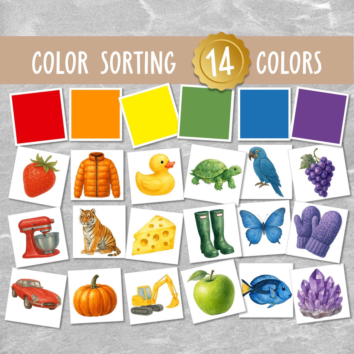 Montessori Color Sorting Matching Game, 14-color Recognition Printable ...