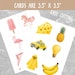 Montessori Color Sorting Matching Game, 14-color Recognition Printable ...