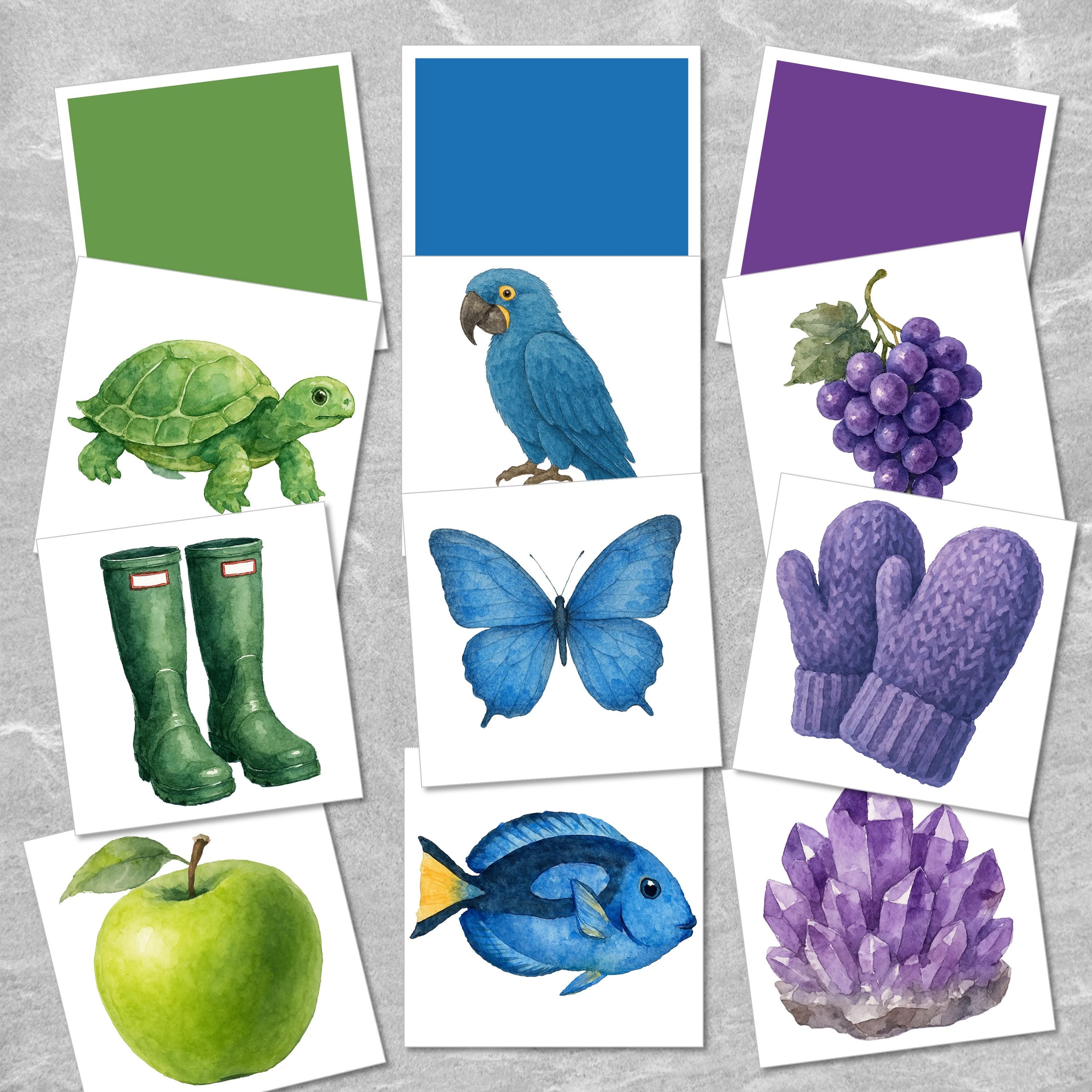 Montessori Color Sorting Matching Game, 14-color Recognition Printable ...