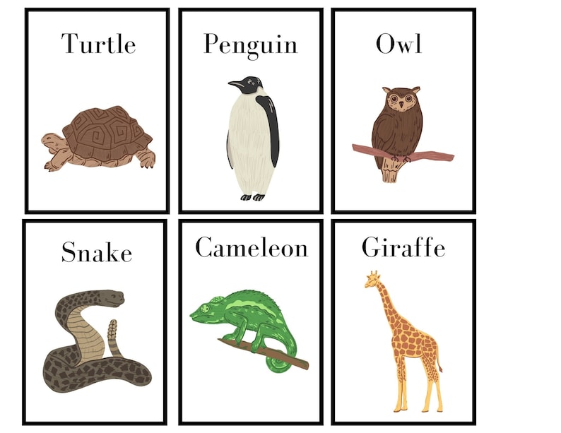 Animal Charades Card Game 24 Flash Cards - Etsy