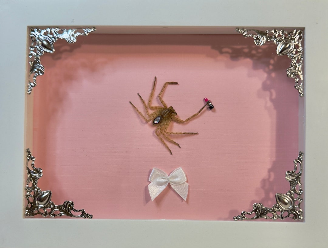 Real Huntsman Spider With Lipstick in Hand. Handmade With Love 3 - Etsy