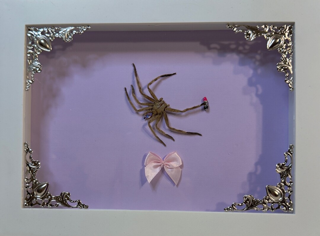 Real Huntsman Spider With Lipstick in Hand. Handmade With Love 3 - Etsy