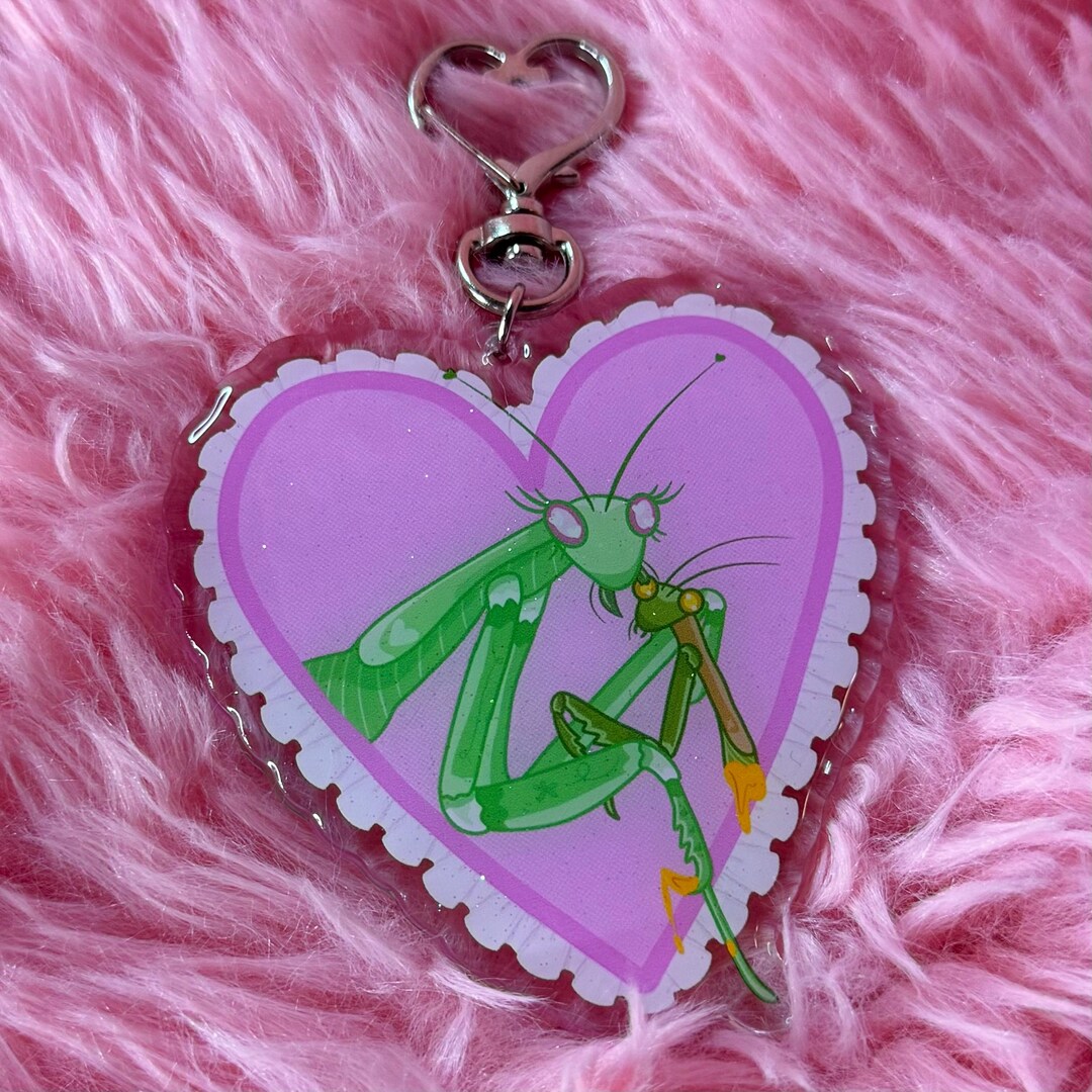 Praying Mantis Cannibalism Keychain - Etsy
