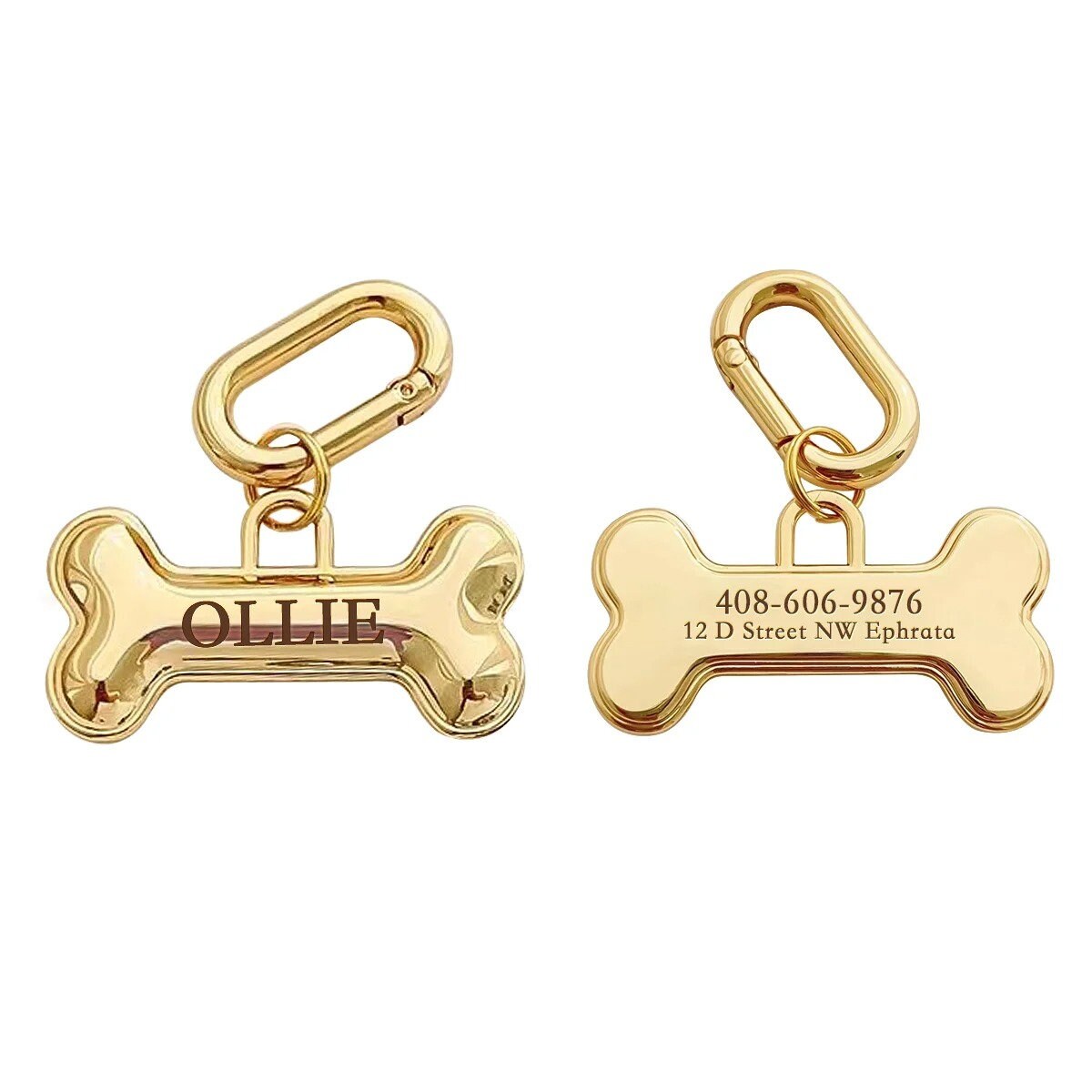Custom Engraved Pet Name Tag - Personalized Dog and Cat Nameplate in ...