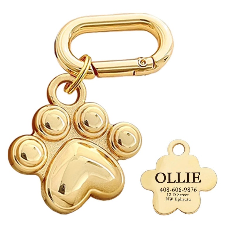 Custom Engraved Pet Name Tag - Personalized Dog and Cat Nameplate in ...