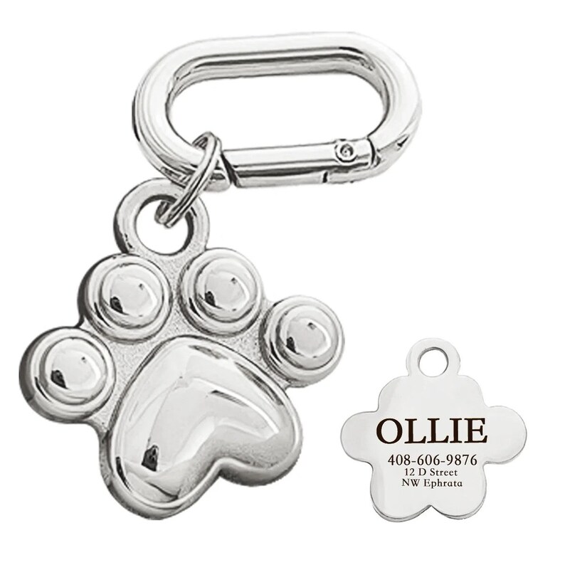 Custom Engraved Pet Name Tag - Personalized Dog and Cat Nameplate in ...